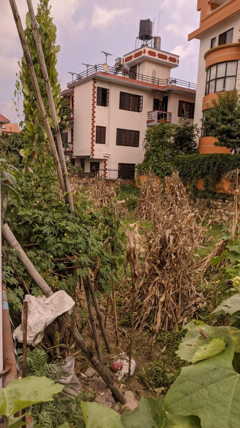 Land for sale in nakhipot
